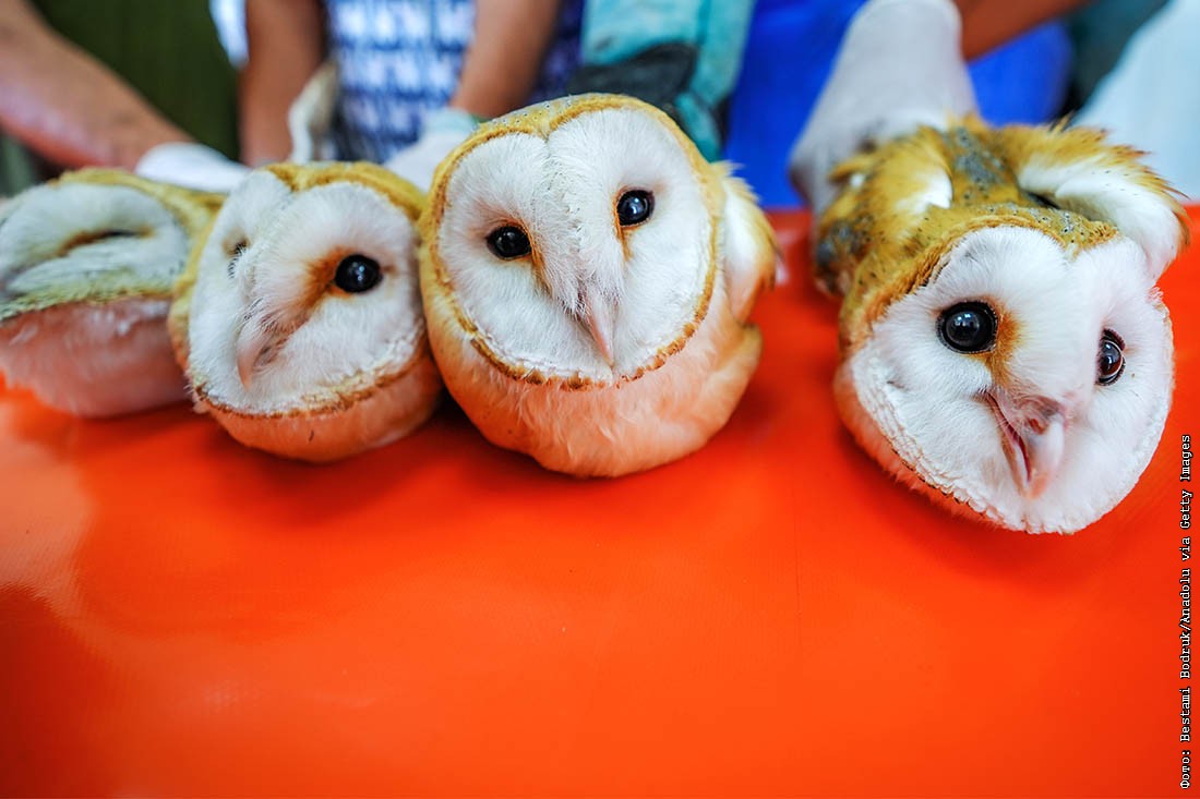 Лучшие фото недели