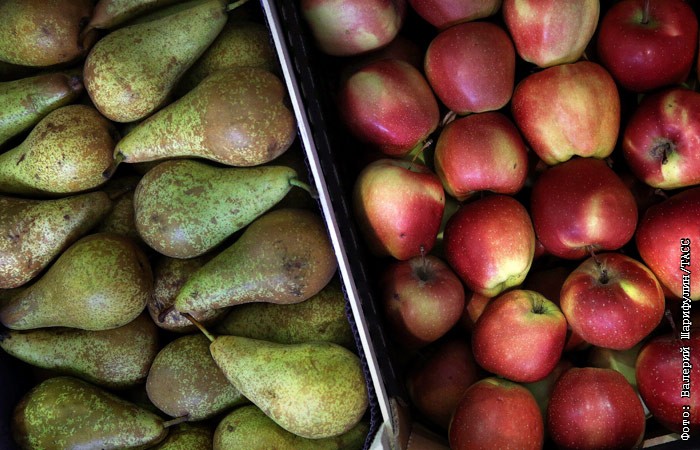 Китай в октябре увеличил поставки в РФ яблок и груш в 1,6 раза до $6,2 млн