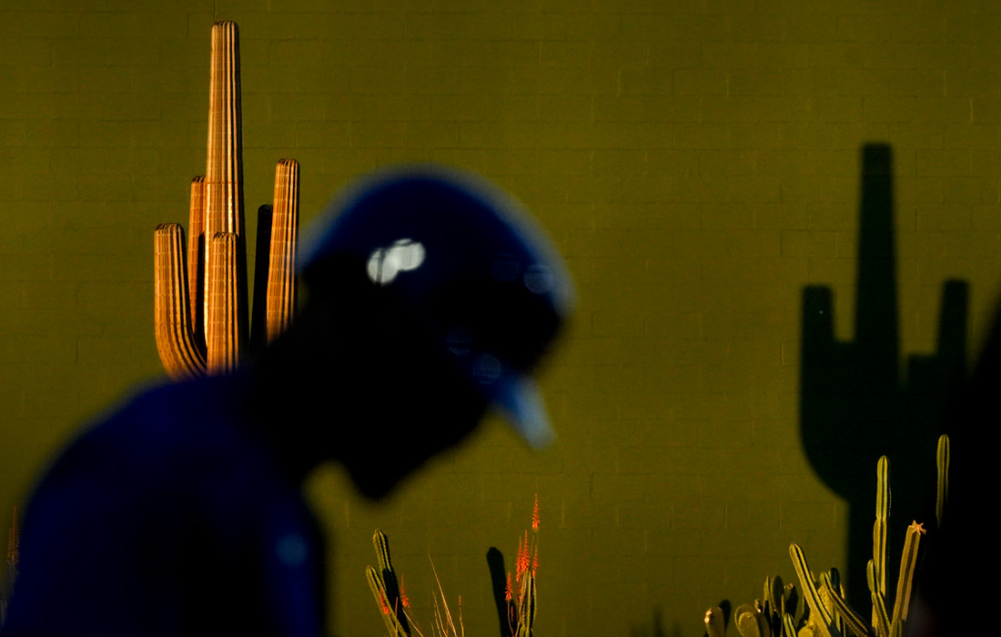 Dunyodagi eng katta itlar ko'rgazmasi, Finlyandiya ko'rfazidagi ...